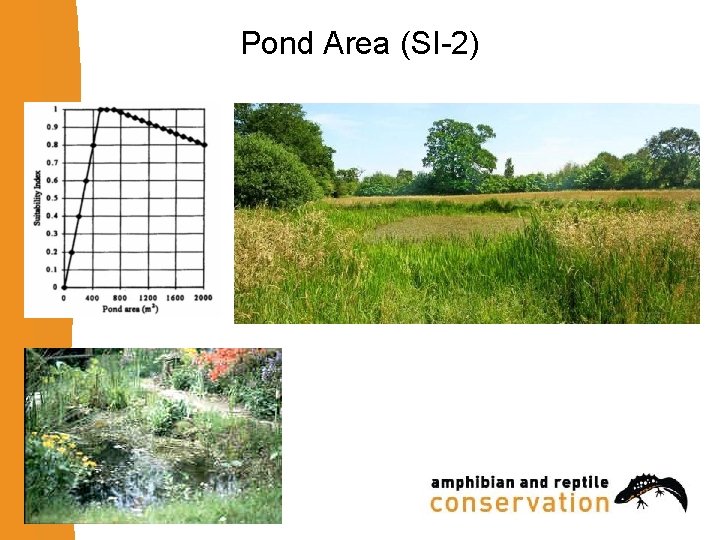 Habitat Suitability Index Habitat Suitability Index Evaluates pond