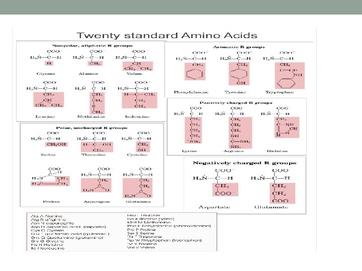 AMINO ACIDS Qualitative Tests Amino Acids Amino acid