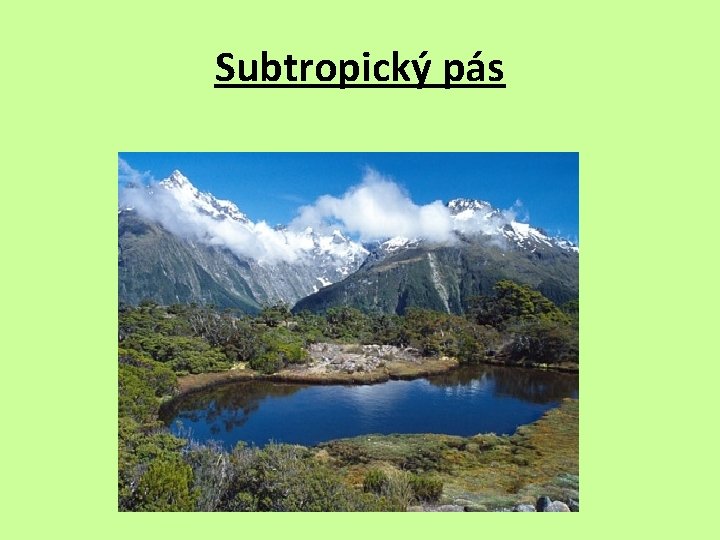 Podnebn psy subtropick ps ZPRACOVAL Mgr Alena Jakubcov