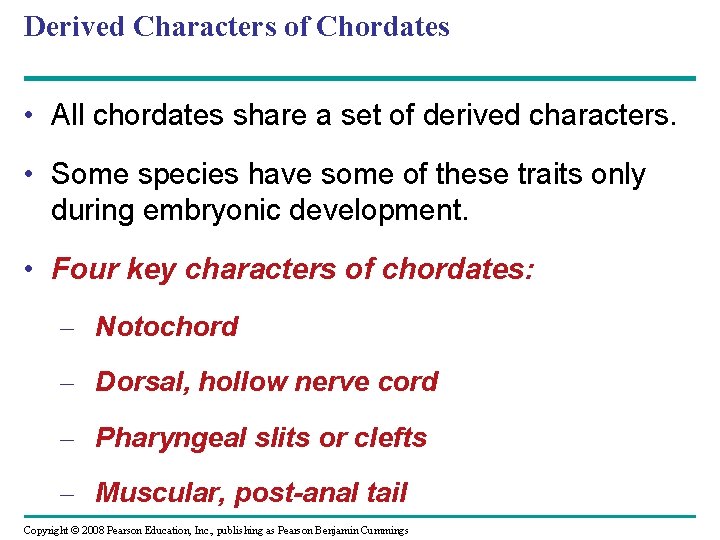 Chapter 34 Vertebrates Power Point Lecture Presentations for