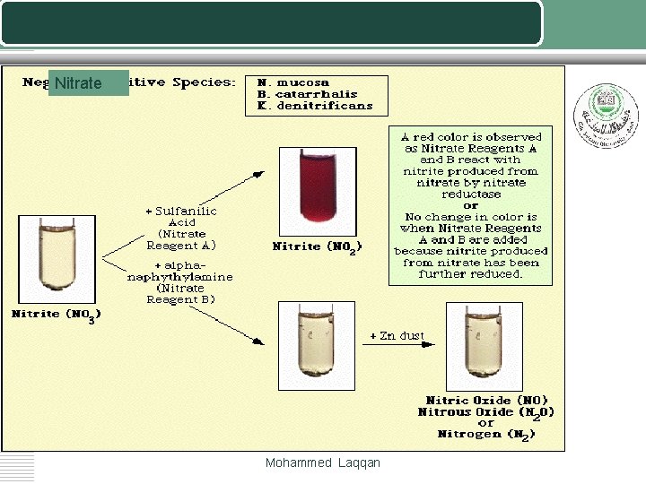 General Microbiology Laboratory Biochemical Tests Mohammed Laqqan Nitrate