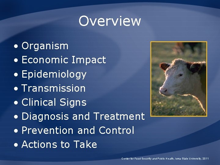 Lumpy Skin Disease Pseudourticaria Neethling Virus Disease Exanthema