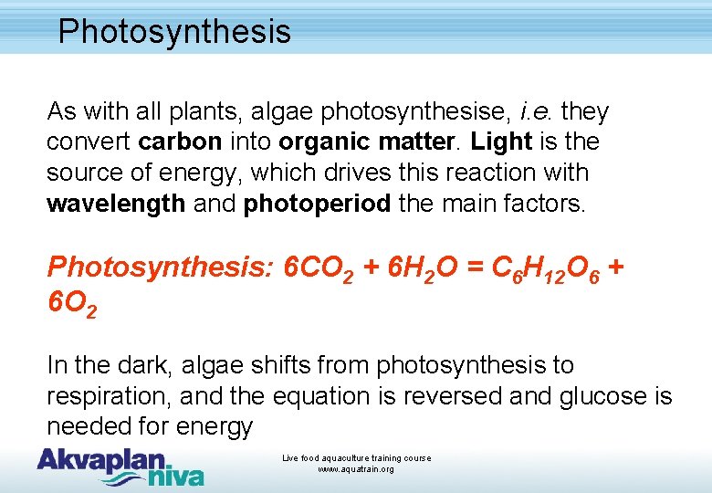 Algae Production Biology and Species Live food aquaculture