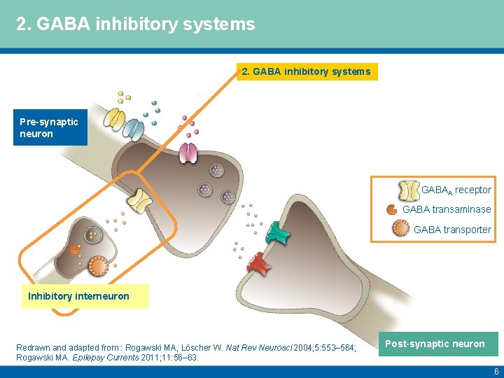 Mode of Action of Perampanel a selective noncompetitive