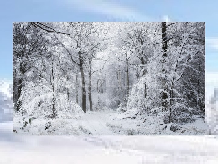 Winter Edwin Morgan Round Robin What do you