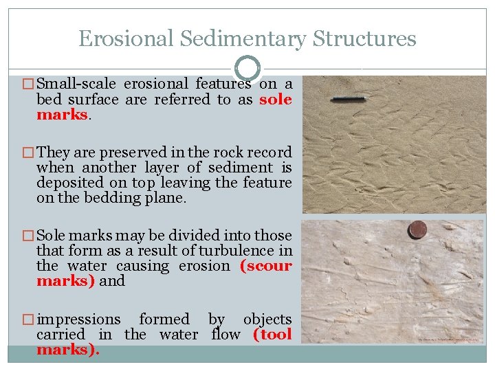 Sedimentary Structures UNIT 4 TRANSPORT MEDIA Gravity is