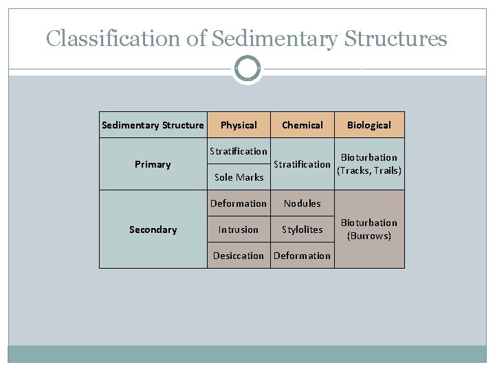 Sedimentary Structures UNIT 4 TRANSPORT MEDIA Gravity is
