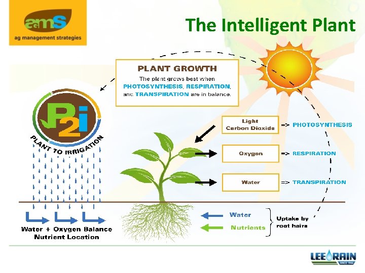 PLANT EMPOWERMENT Optimizing Irrigation to Maximize Crop Performance