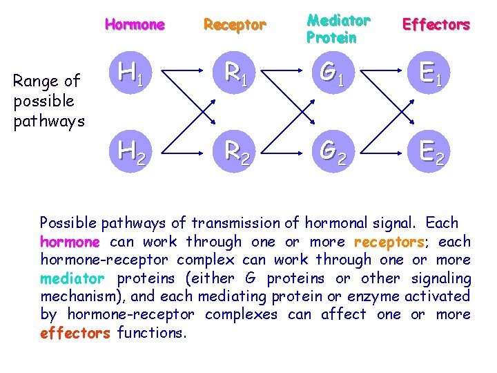 Hormones Receptors and Signal Transduction MCB 720 Sept