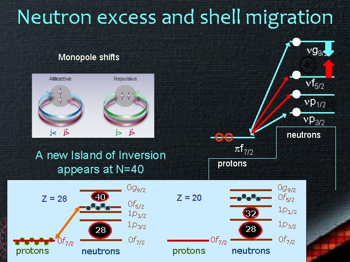 Nuclear structure of neutronrich nuclei around N40 Silvia