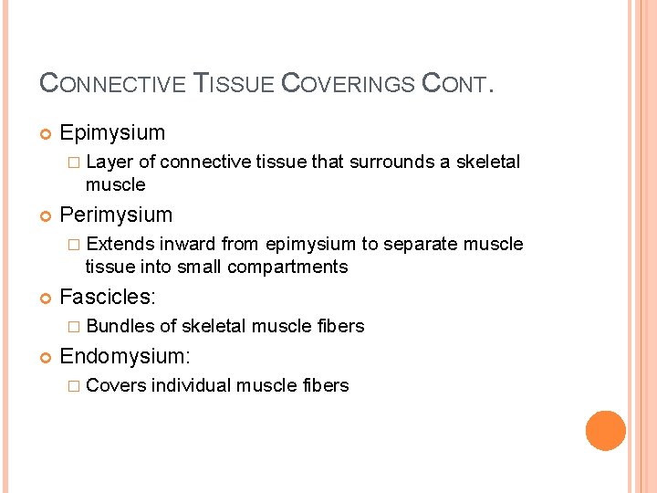 CHAPTER 8 MUSCLES Pages 178 184 INTRODUCTION Muscles