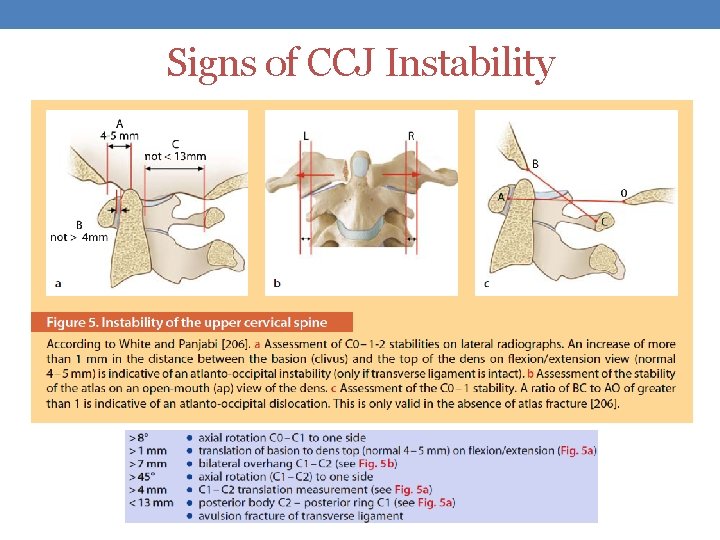 THE OCCIPITOCERVICAL FIXATION Bernucci Claudio M D Head