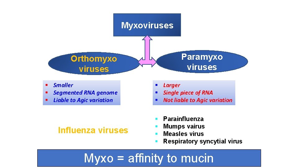 INFLUENZA By Nader Alaridah MD Ph D General