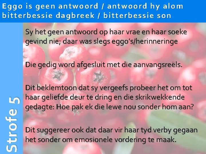 Ingrid Jonker Bitterbessie dagbreek Bundel Rook en Oker