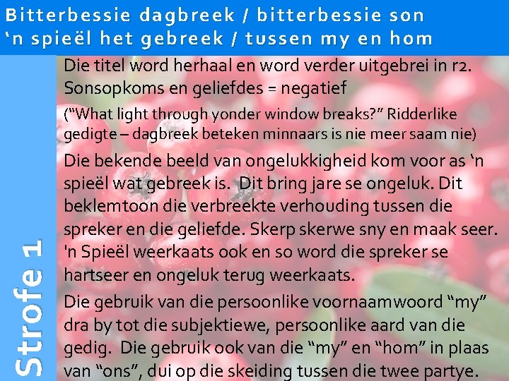 Ingrid Jonker Bitterbessie dagbreek Bundel Rook en Oker