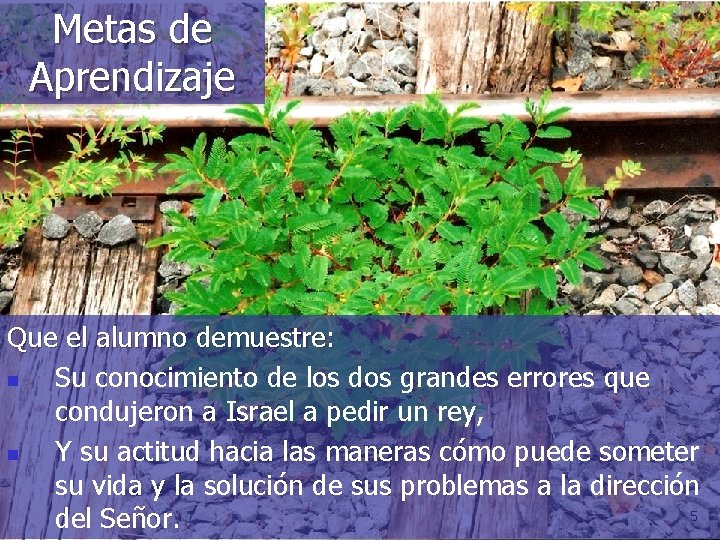 Unidad 11 Samuel Estudio Israel pide un rey