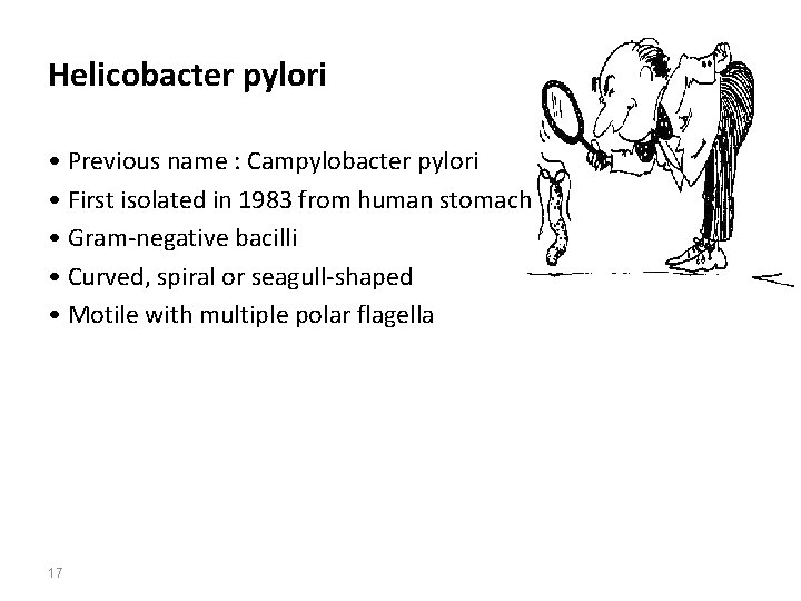 Diagnostic microbiology lecture 7 CAMPYLOBACTER Abed El Kader