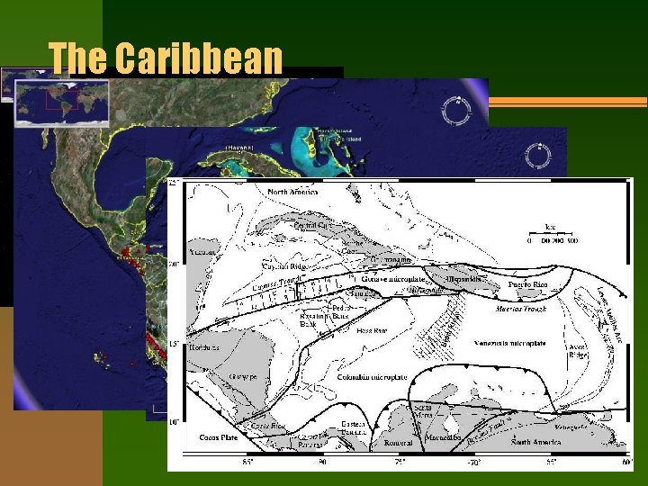 Tectonics of the Caribbean Richard Robertson Seismic Research