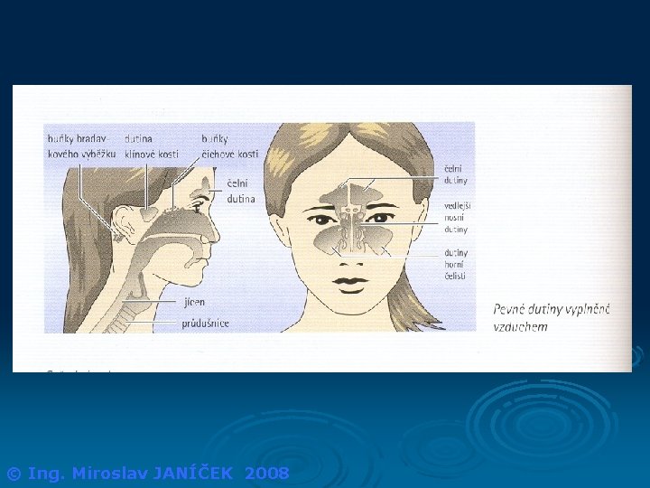 Ing Miroslav JANEK 2008 Ing Miroslav JANEK 2008