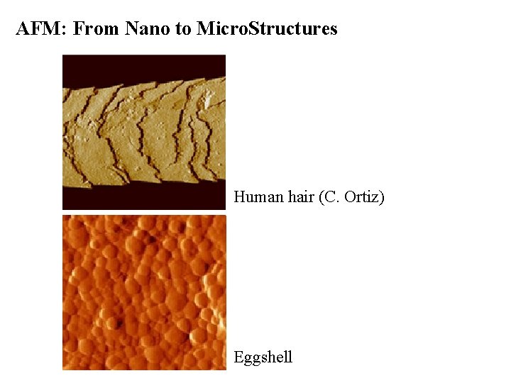 HIGHRESOLUTION IMAGING WITH FORCES ATOMIC FORCE MICROSCOPY Krystyn