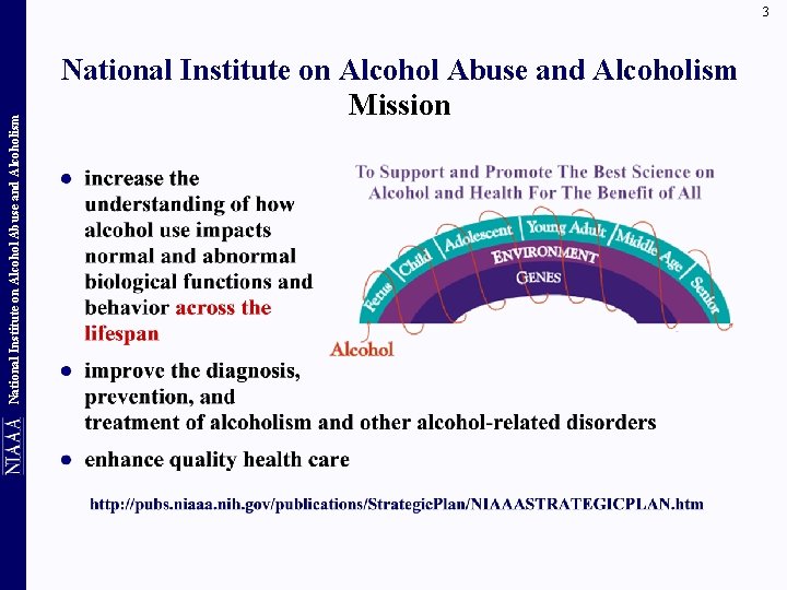 National Institute on Alcohol Abuse and Alcoholism 1