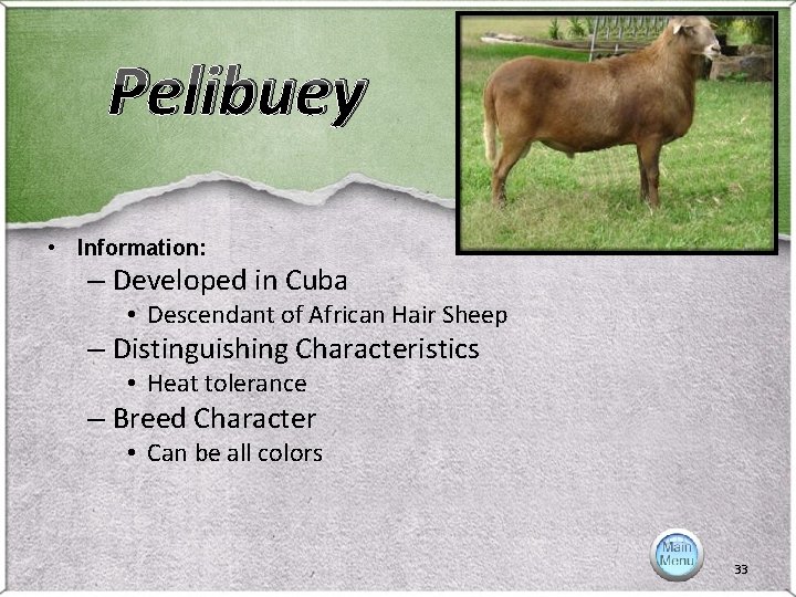 1 2 Barbados Blackbelly Information Developed On Island