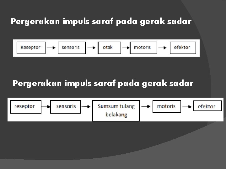 BIOLISTRIK TUBUH Menik Dwi kurniatie S Si M