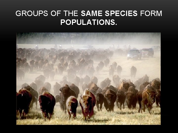 HOW ARE ECOSYSTEMS STRUCTURED WHAT IS A POPULATION