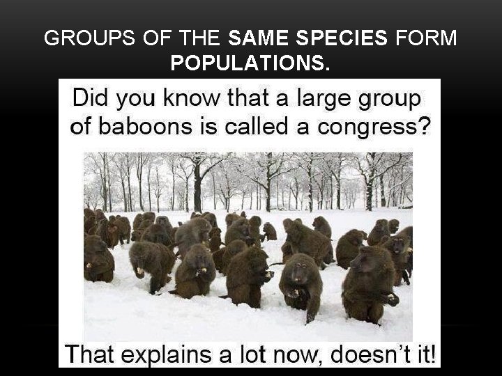 HOW ARE ECOSYSTEMS STRUCTURED WHAT IS A POPULATION