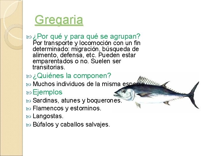 RELACIONES INTRAESPECIFICA SY RELACIONES INTERESPECIFICA S Familia Gregaria