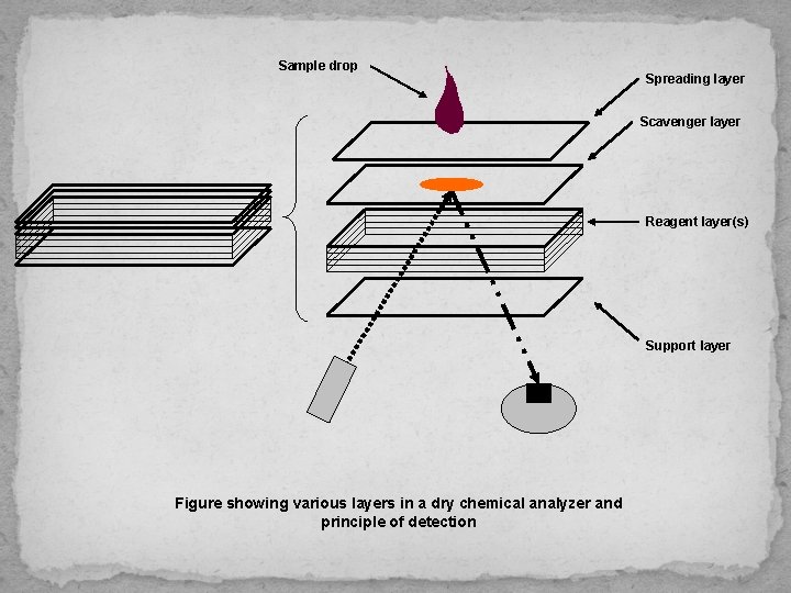 CLINICAL CHEMISTRY AUTOANALYZERS PREPARED BY Dr Adeel Chaudry