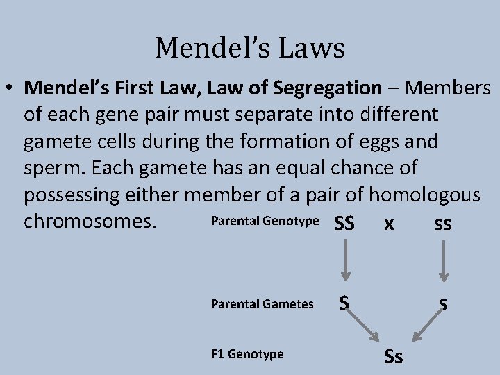 Mendelian Genetics Gregor Mendel Experiments in Plant Hybridization