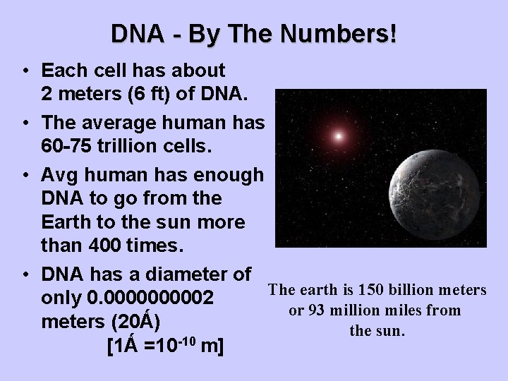 Deoxyribonucleic acid DNA Nucleic Acid Polymer monomer nucleotide