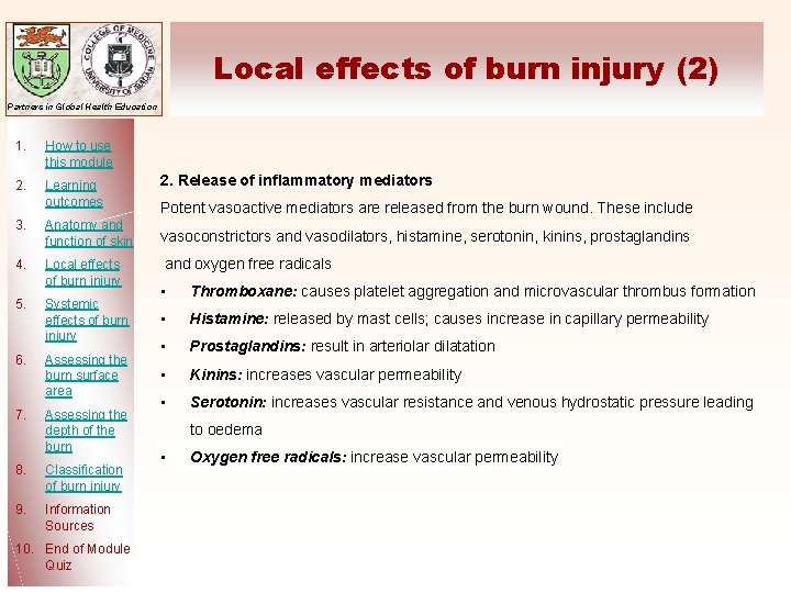 Burns Partners in Global Health Education 1 How
