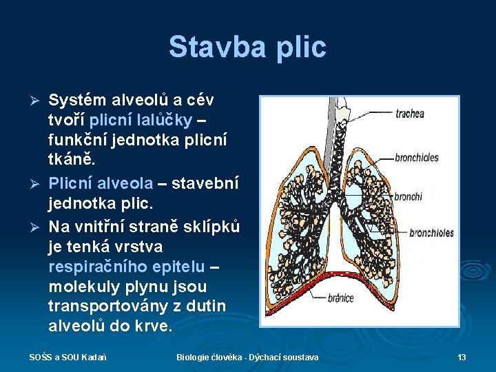 BIOLOGIE LOVKA DCHAC SOUSTAVA SOS a SOU Kada