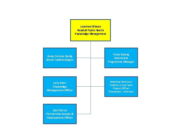 Public Health Division Senior Management Team Velena Gilfillian