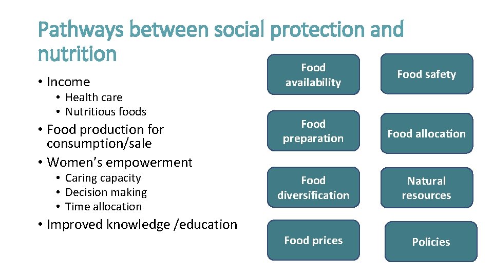 Role of social protection in improving nutrition Social