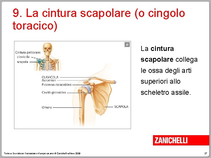Tortora Derrickson Conosciamo il corpo umano Zanichelli editore