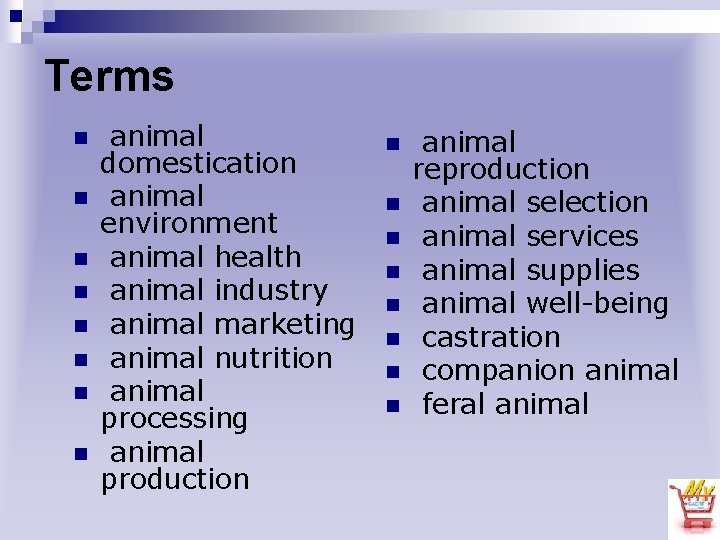 Animal Science Lesson C 1 1 The Animal