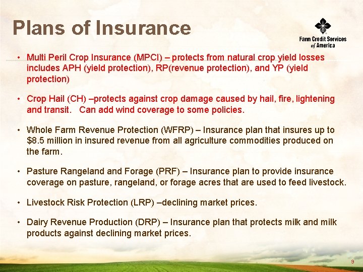 Curiosity killed the Cat 2019 Women In Ag