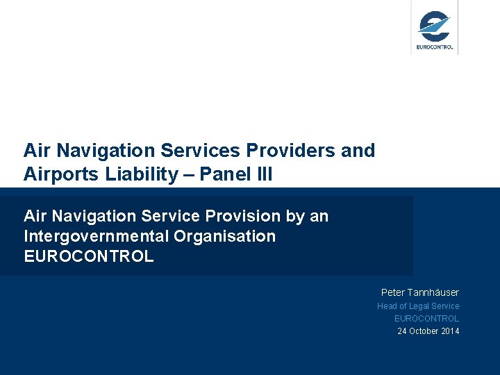 Air Navigation Services Providers and Airports Liability Panel