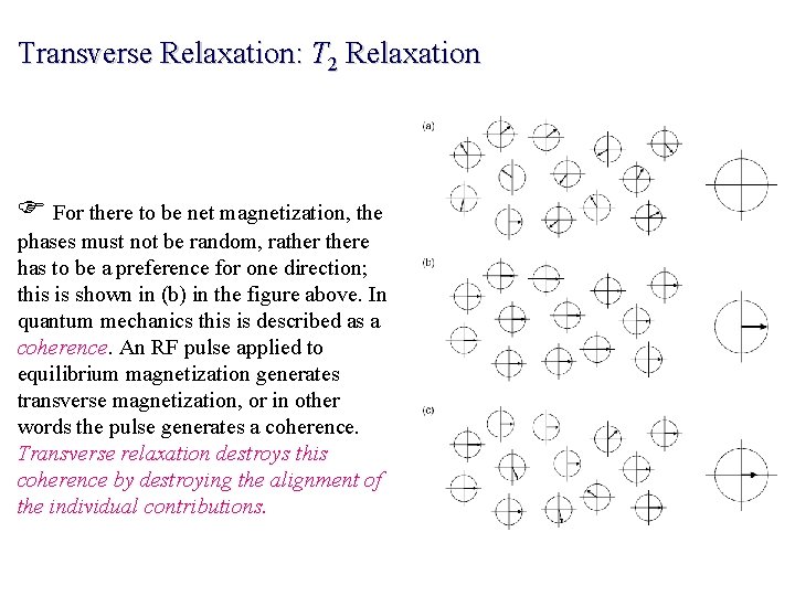 Transverse Relaxation T 2 Relaxation For there to