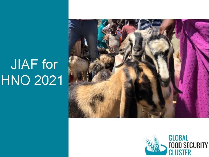 JIAF for HNO 2021 JIAF Background Objectives Step