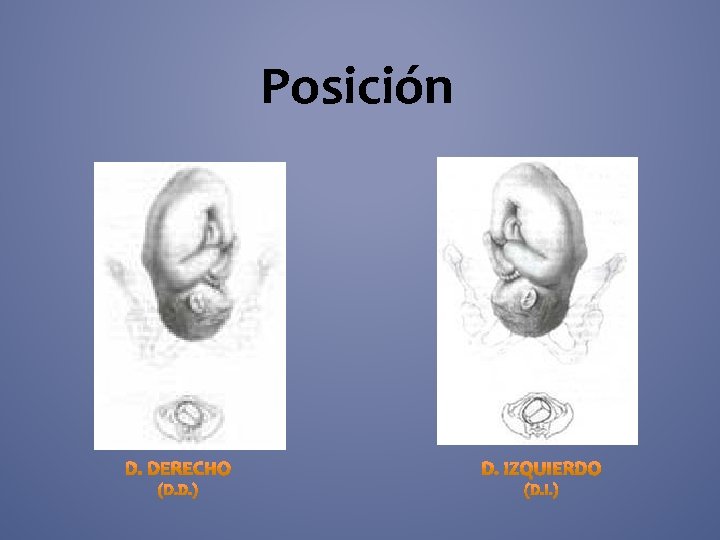 Introduccin a la clnica de la ginecoobstetricia Equipo