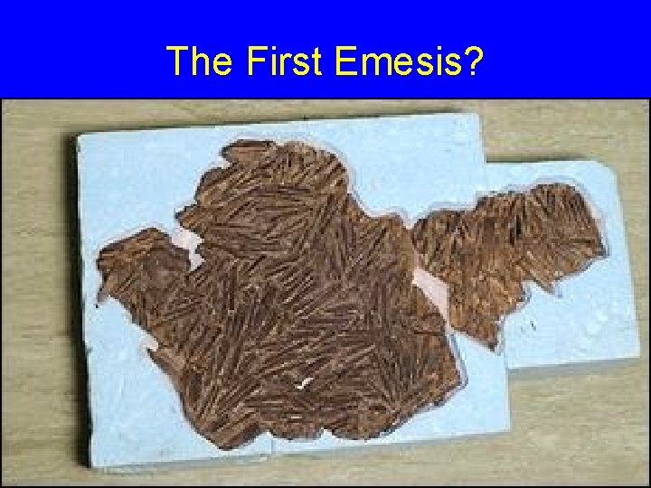 Management of Acute Pain Nausea and Emesis Joseph