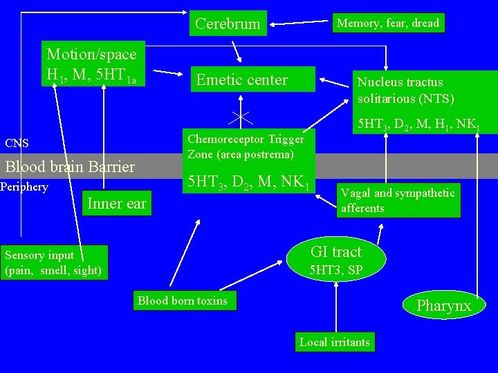 Management of Acute Pain Nausea and Emesis Joseph