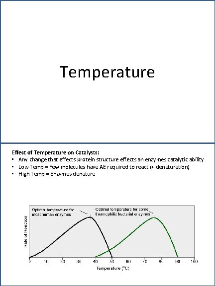 Enzymes General Enzymes Proteins that catalyze biochemical reactions