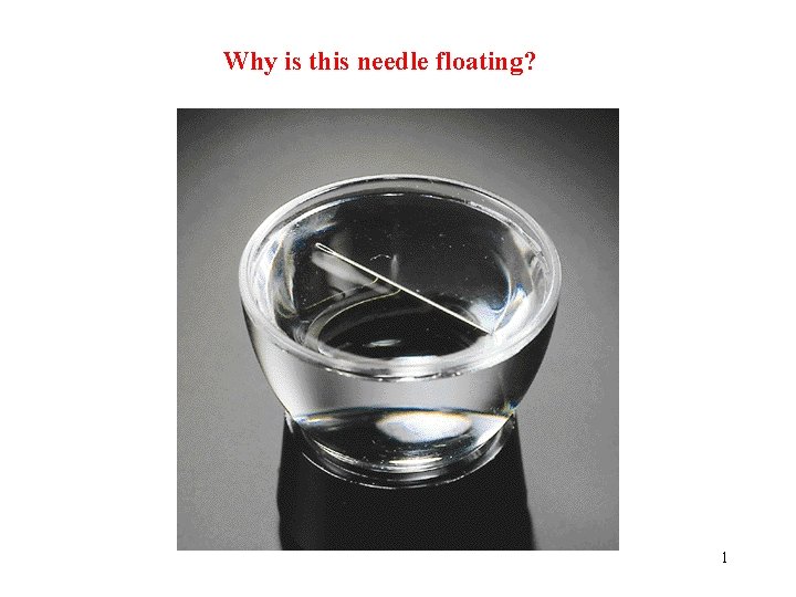 Why is this needle floating 1 Intermolecular Forces