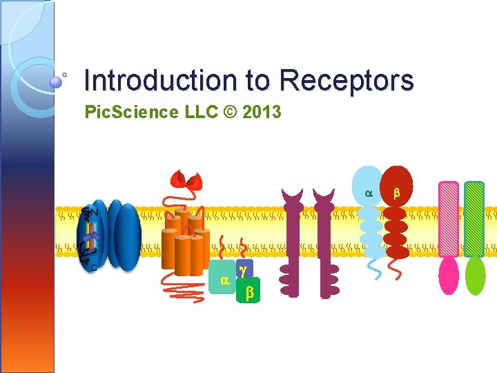 Introduction to Receptors Pic Science LLC 2013 a
