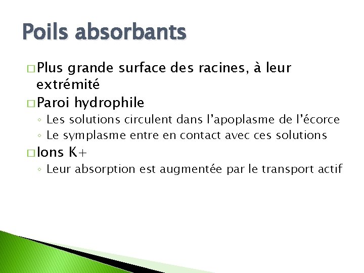 Transport des nutriments chez les vasculaires 101 110